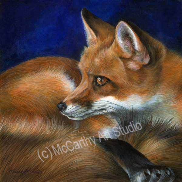 Night Tail - Red Fox
